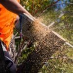 Tree Services in Queanbeyan, NSW From Queanbeyan Expert Tree Services